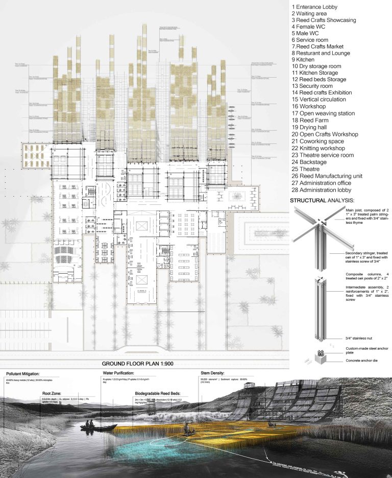 Reed Resurrection | Architecture Graduation Projects