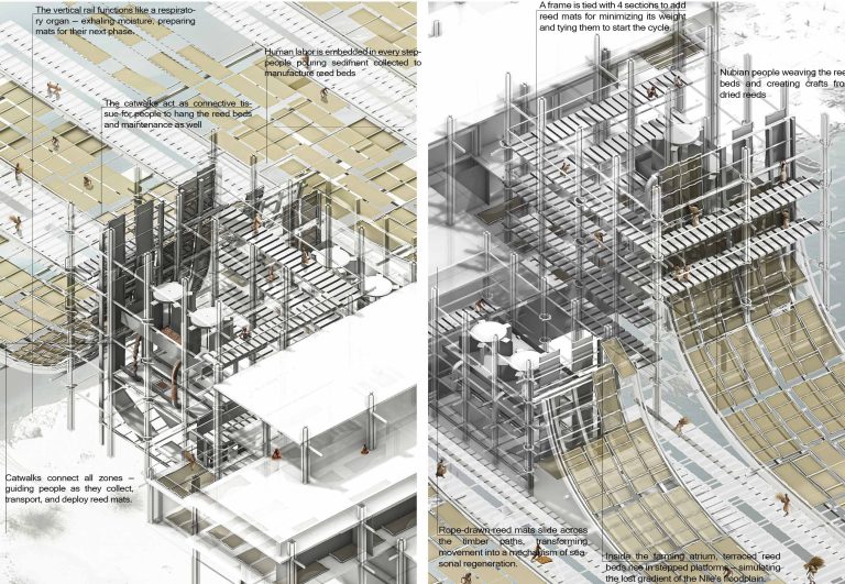 Reed Resurrection | Architecture Graduation Projects